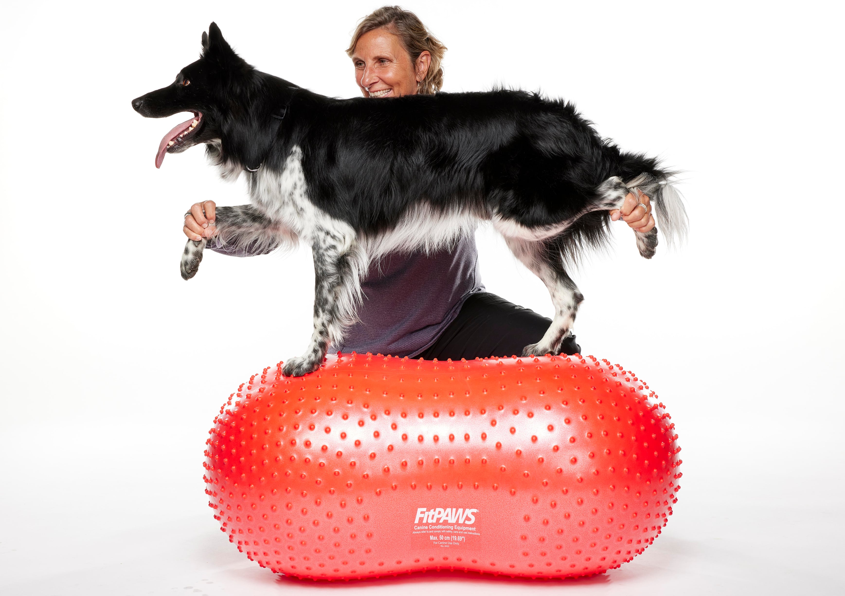 FitPAWS Peanut: Can Your Dog Do This? – FitPaws
